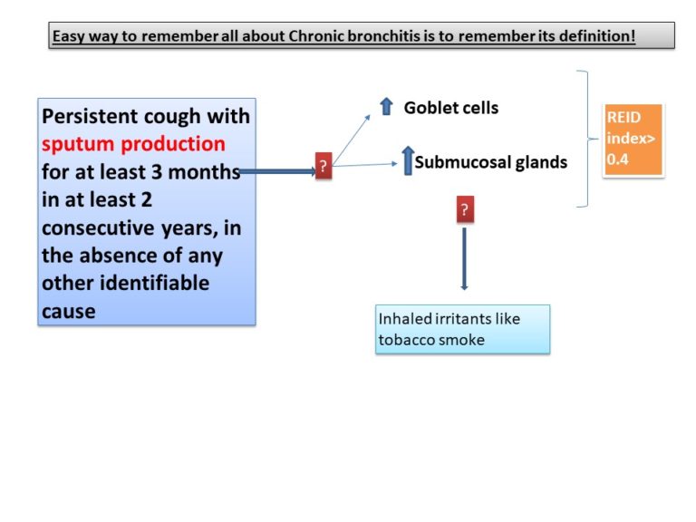 Pathology of Chronic Bronchitis | Pathology Made Simple