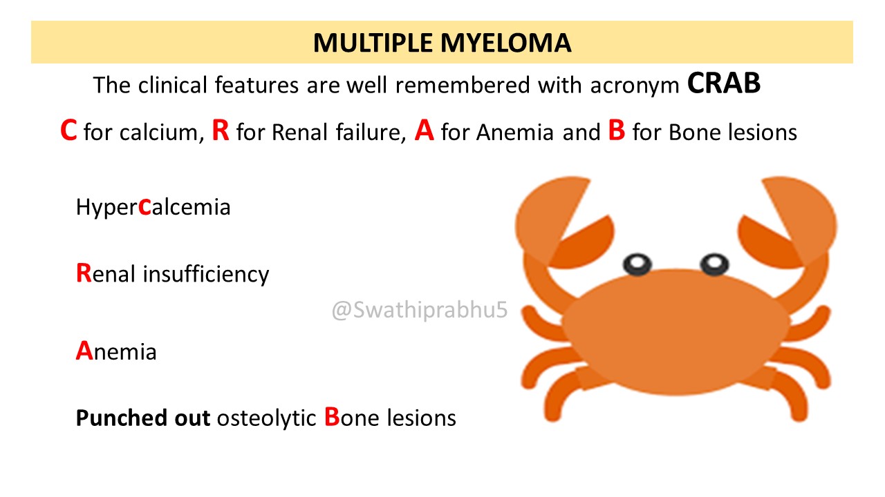 Pathology of Multiple Myeloma - Pathology Made Simple