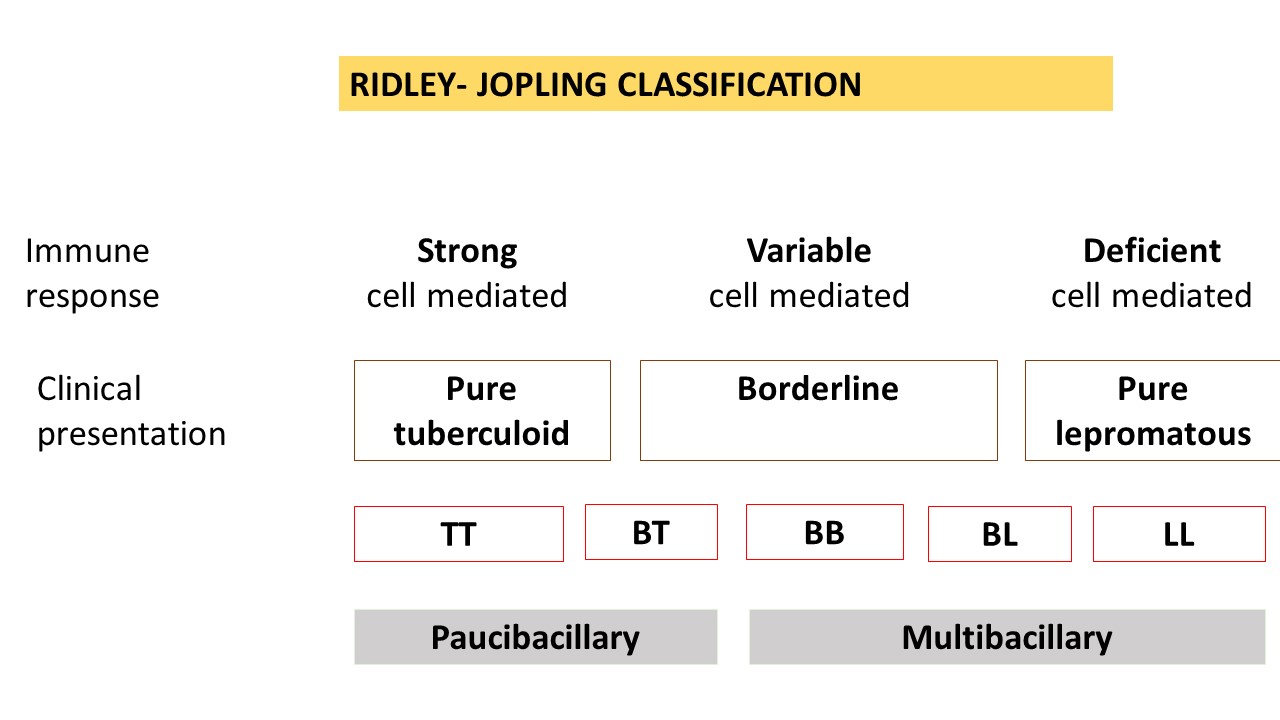 LEPROSY- Tuberculoid & Lepromatous | Pathology Made Simple