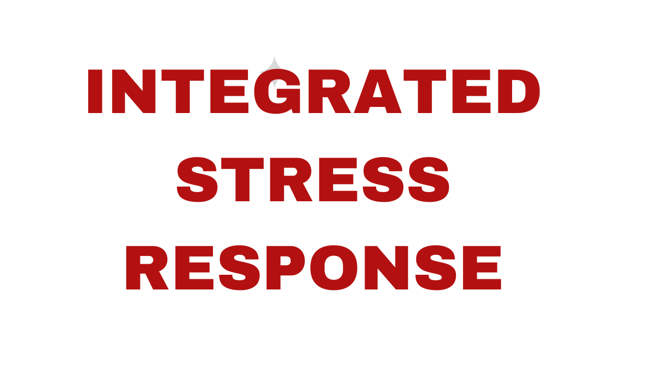 Integrated Stress Response (ISR) - Pathology Made Simple