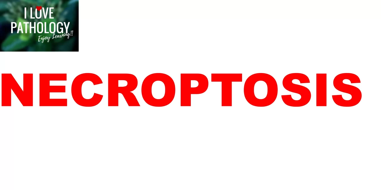Necroptosis – Understanding a Programmed Necrosis Pathway - Pathology ...